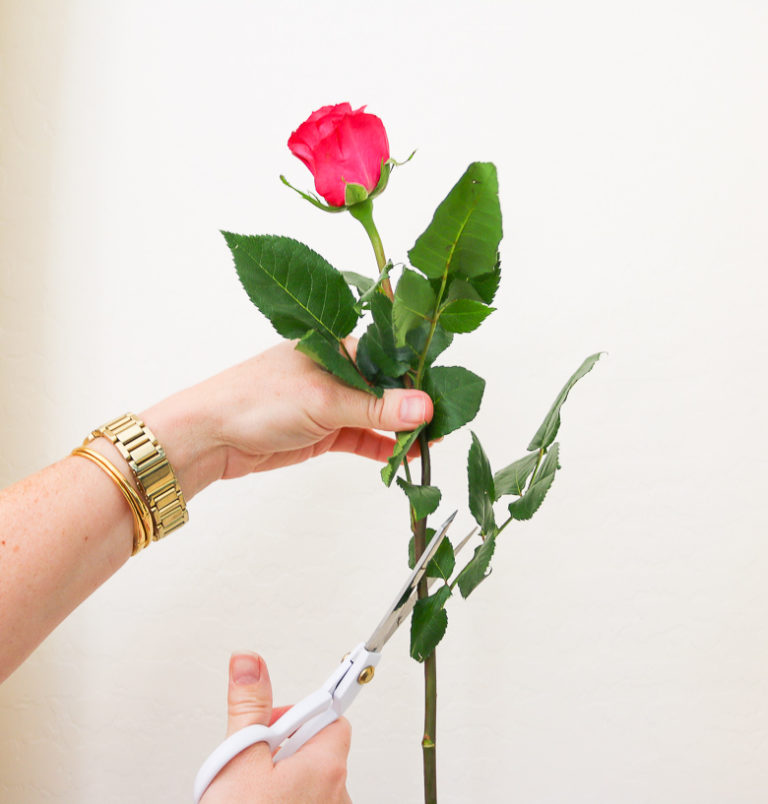 how to make an easy and dramatic floral arrangement