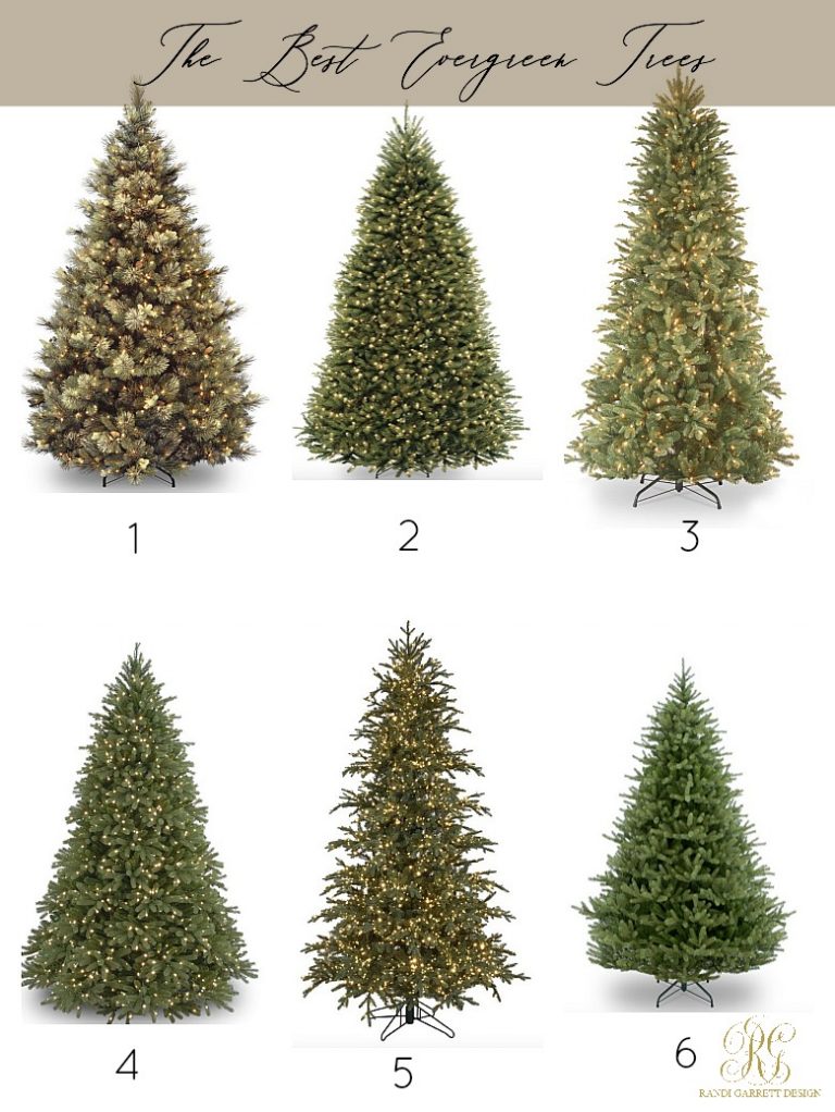 The Best Christmas Trees for Every Budget + Style - Randi Garrett Design