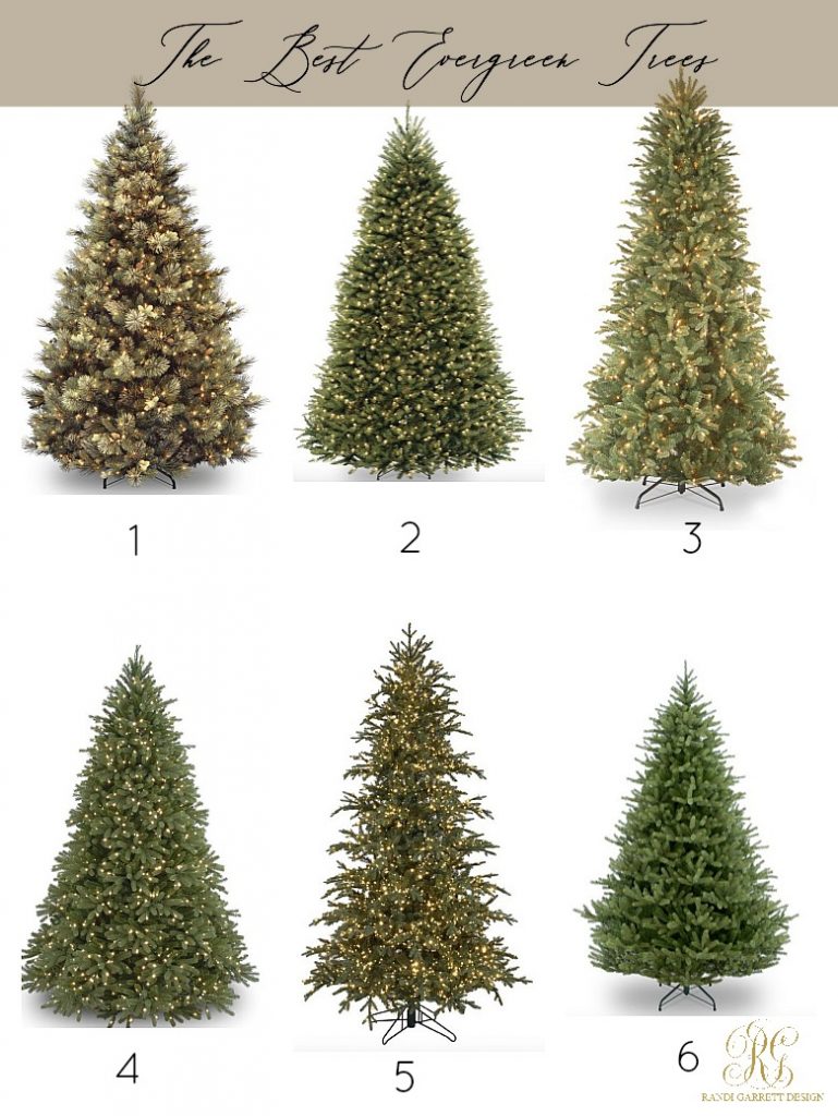 The Best Christmas Trees for Every Budget + Style - Randi Garrett Design