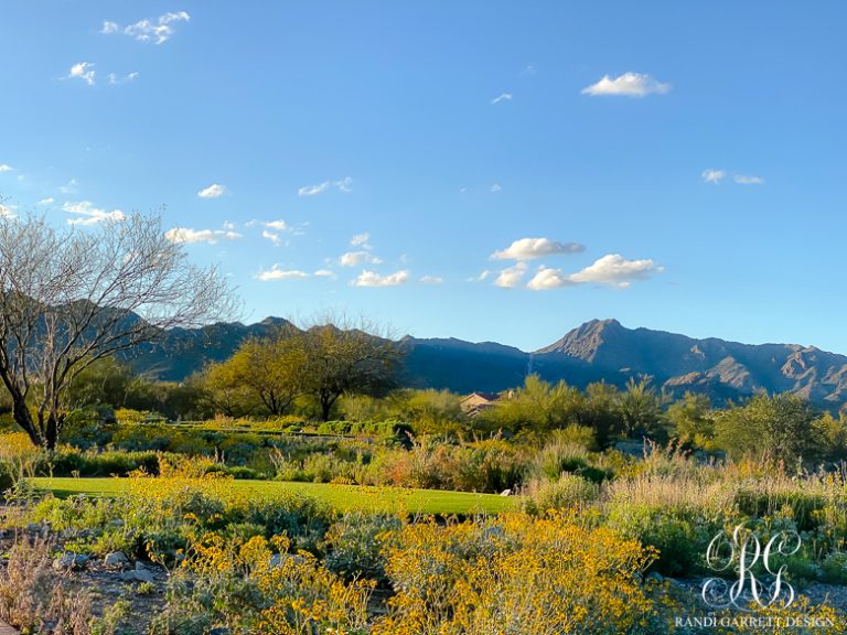 The New Garrett Residence - Randi Garrett Design