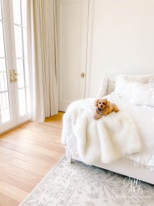 The Best Rugs for Every Room and Every Budget - Randi Garrett Design