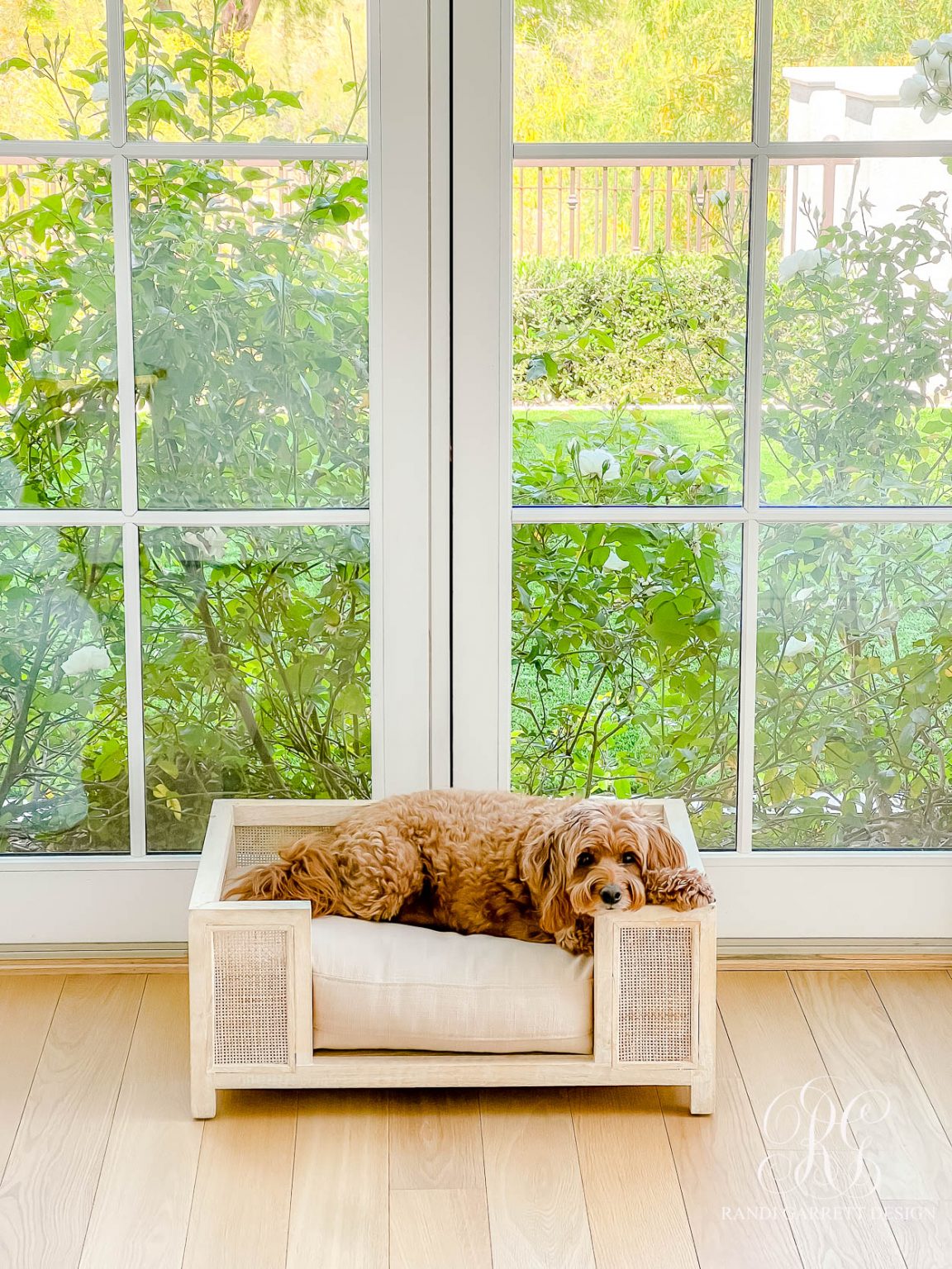 Luxe Pet Products That Blend Style & Function - Randi Garrett Design